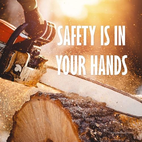 Chainsaw Safety Posters – Inspire Safety