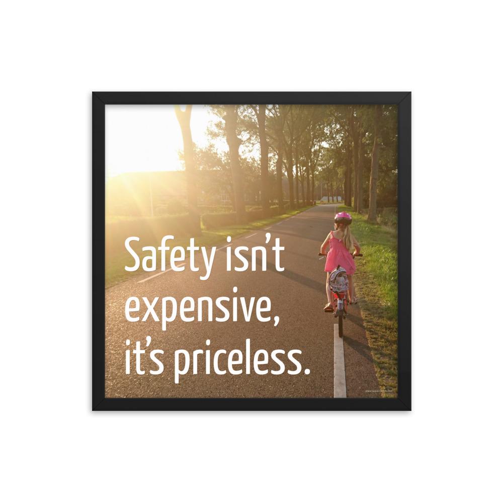Framed Safety Poster: Safety Isn't Expensive, It's Priceless – Inspire ...